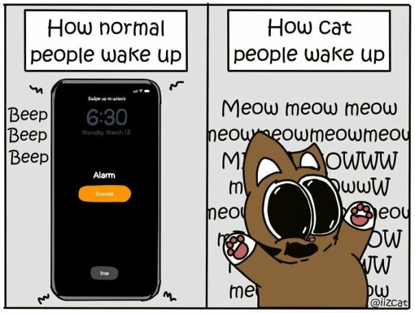 20 Comics That Illustrate The Life Of A Cat Owner | DeMilked