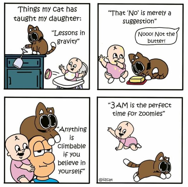 20 Comics That Illustrate The Life Of A Cat Owner | DeMilked