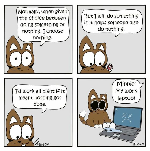 20 Comics That Illustrate The Life Of A Cat Owner | DeMilked