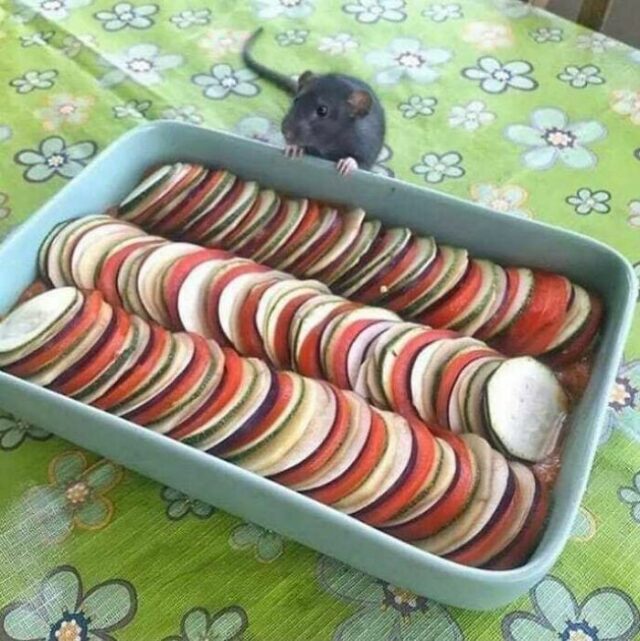 30 Totally ‘Blursed’ Photos That Don’t Provide Any Explanations | DeMilked