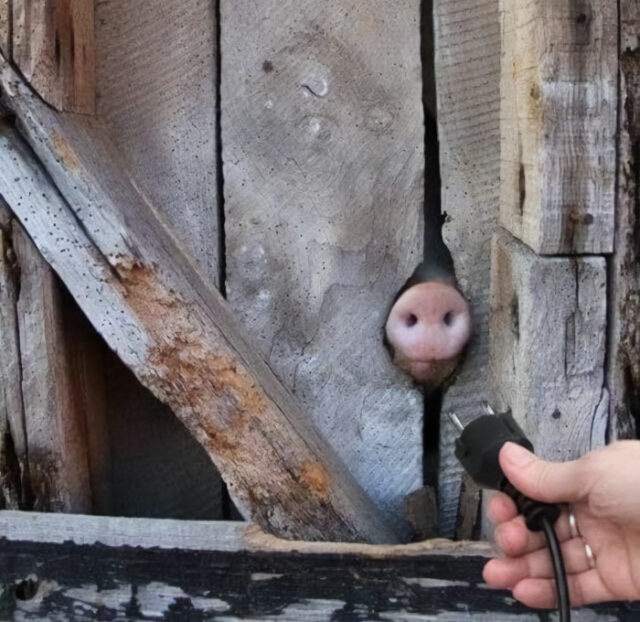 30 Totally ‘Blursed’ Photos That Don’t Provide Any Explanations | DeMilked