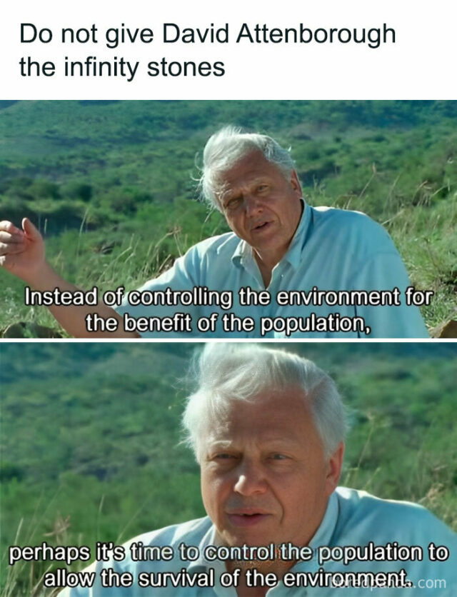 20 Fun Memes For Those Who Chose The Childfree Lifestyle | DeMilked