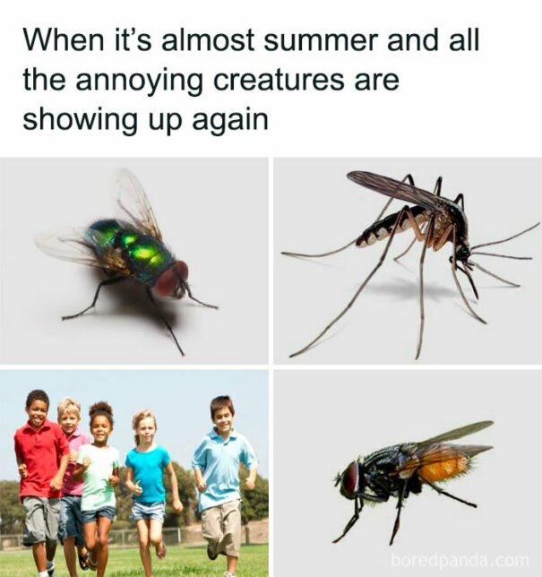 20 Fun Memes For Those Who Chose The Childfree Lifestyle | DeMilked