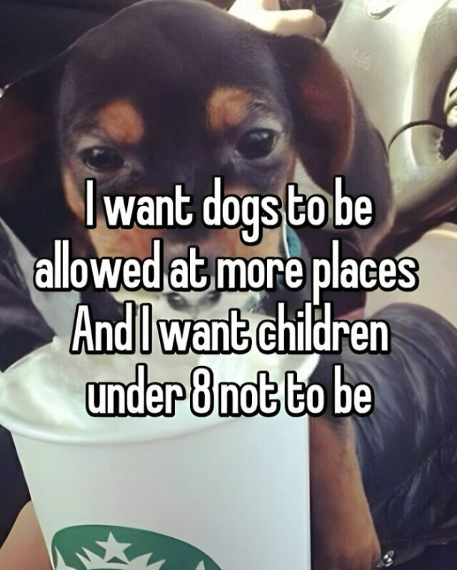 20 Fun Memes For Those Who Chose The Childfree Lifestyle | DeMilked