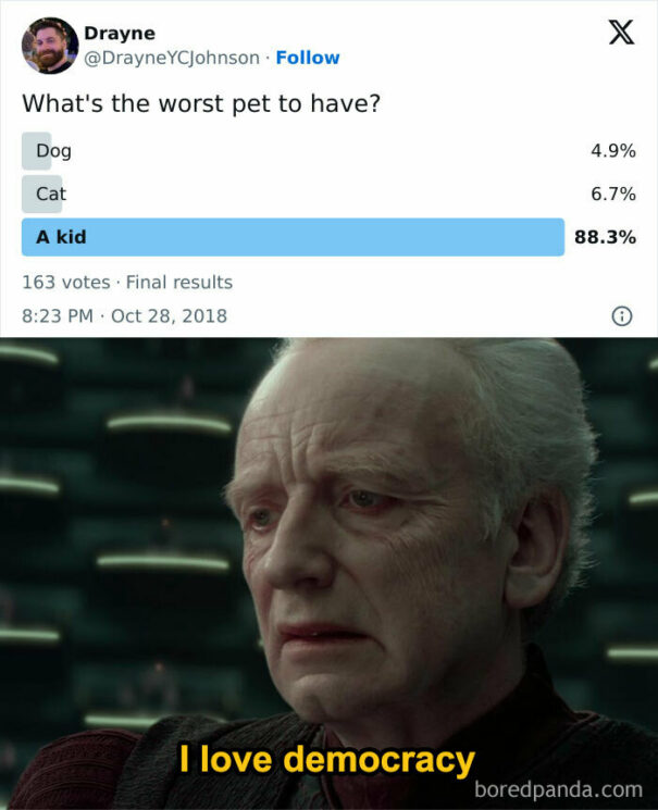 20 Fun Memes For Those Who Chose The Childfree Lifestyle | DeMilked