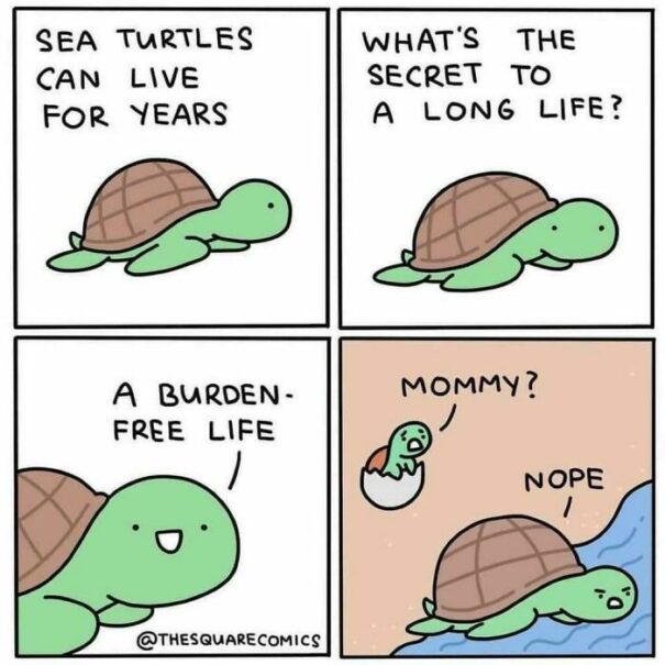 20 Fun Memes For Those Who Chose The Childfree Lifestyle | DeMilked