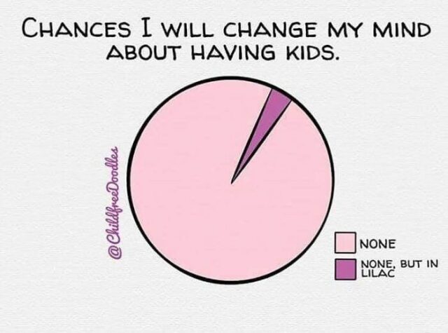 20 Fun Memes For Those Who Chose The Childfree Lifestyle | DeMilked