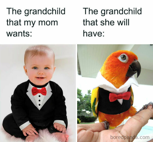 20 Fun Memes For Those Who Chose The Childfree Lifestyle | DeMilked