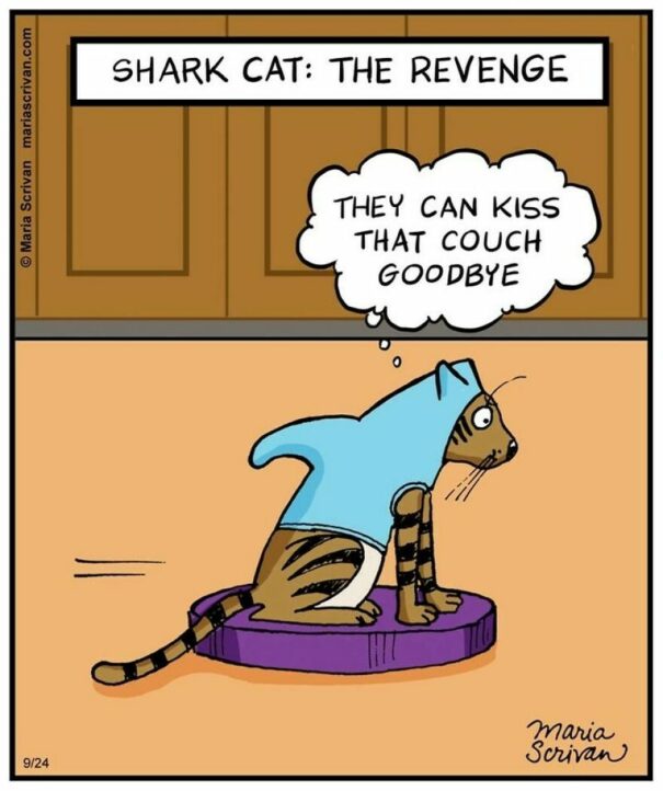 20 Funny Illustrations By "Half Full" Comics | DeMilked