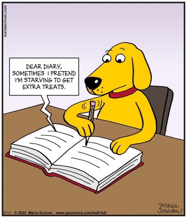 20 Funny Illustrations By "Half Full" Comics | DeMilked