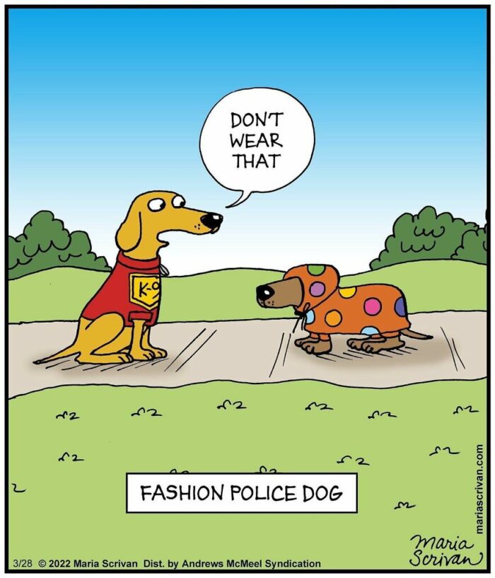 20 Funny Illustrations By "Half Full" Comics | DeMilked