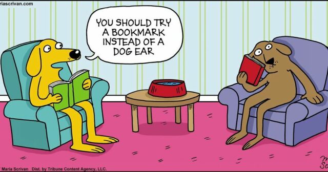 20 Funny Illustrations By "Half Full" Comics | DeMilked