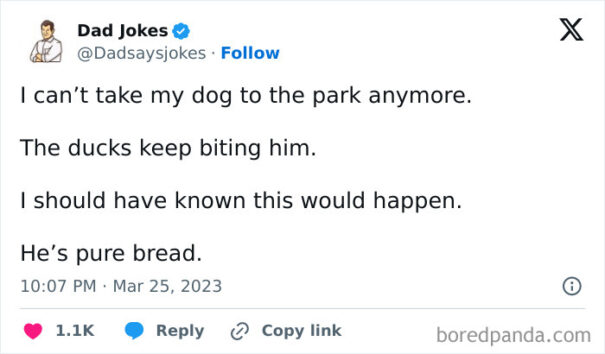 20 Hilarious Dad Jokes That Are Guaranteed To Bring Smiles | DeMilked