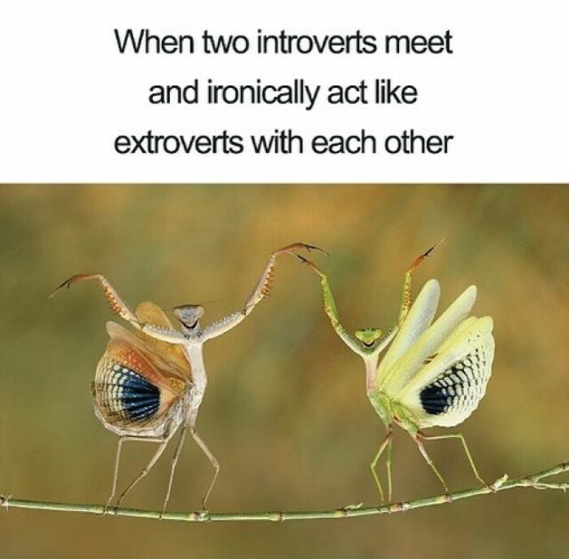 20 "Friendship Memes" That You Might Relate To | DeMilked