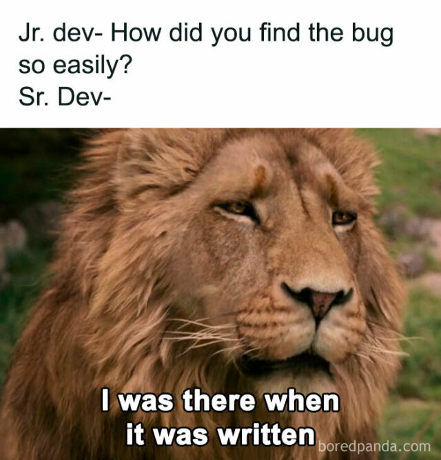 20 Witty Programmer Humor For All The Programmers Out There Demilked