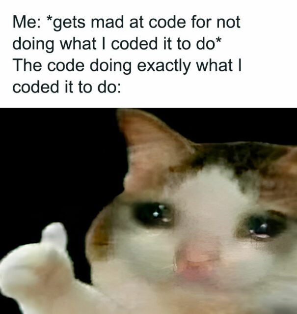 20 Witty Programmer Humor For All The Programmers Out There Demilked