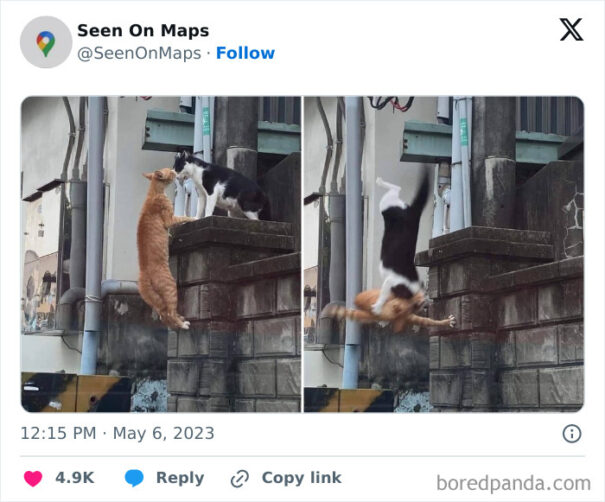 20 Silly Scenes Caught By Street Cameras And Everyday Explorers | DeMilked