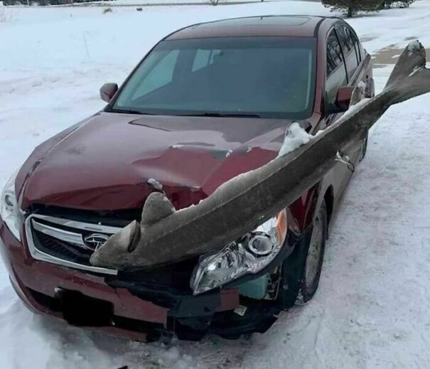 20 Bizarre Photos Shared On The “Images That Need More Context ...