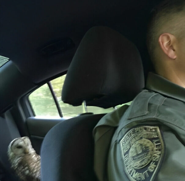 20 Bizarre Photos Shared On The “Images That Need More Context ...