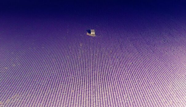 20 Intimidating Pics Of Oversized Objects That Will Make You Wonder If ...