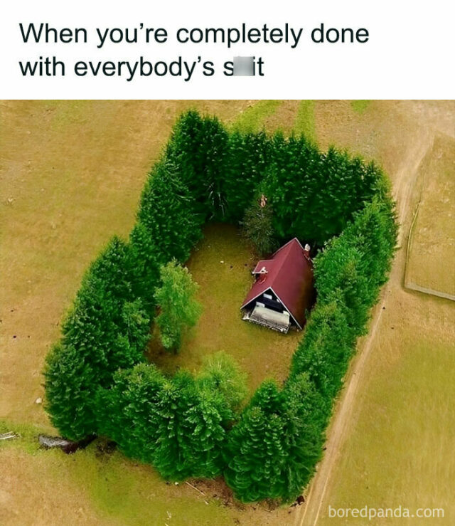 30 Funny And Relatable Introvert Dating Memes Posted On This Instagram ...