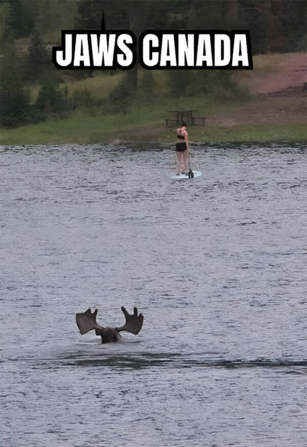 20 Photos And Memes That Perfectly Sum Up The Interesting, Funny, And ...