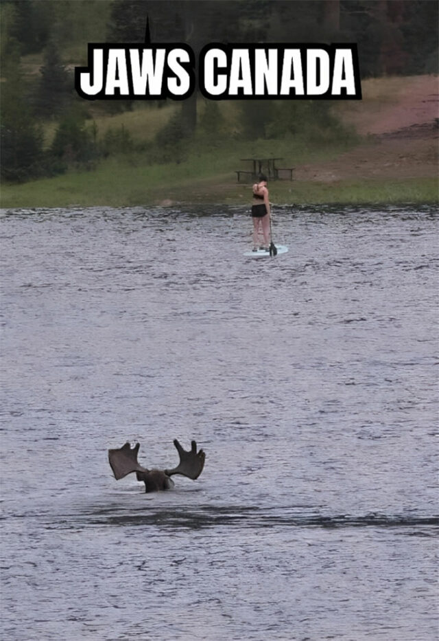 20 Photos And Memes That Perfectly Sum Up The Interesting, Funny, And ...