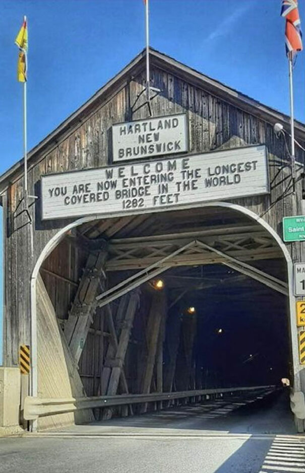 20 Photos And Memes That Perfectly Sum Up The Interesting, Funny, And ...