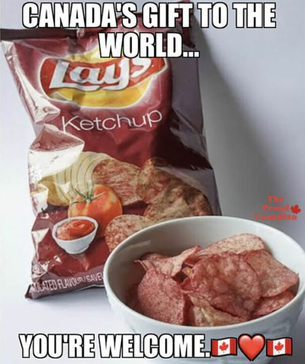 20 Photos And Memes That Perfectly Sum Up The Interesting, Funny, And ...