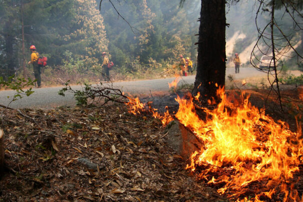 20 Times People Invested Their Time And Effort To Gain Knowledge That ...