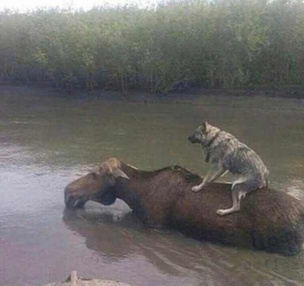 20 Times This Instagram Account Shared The Most "Cursed' Images On The ...