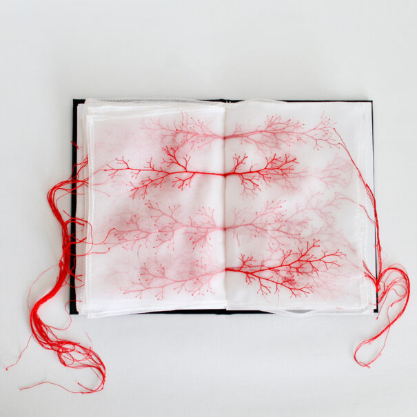 Artist's Red Thread Art Captures History, Nature, and Human Journey (10 ...