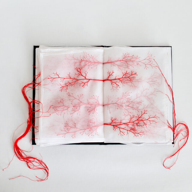 Artist's Red Thread Art Captures History, Nature, and Human Journey (10 ...