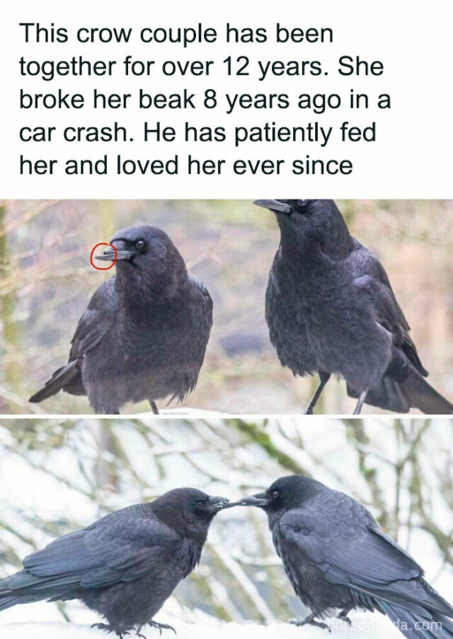 “Science Humour”: 30 Memes Guaranteed To Distribute The Scientifically ...