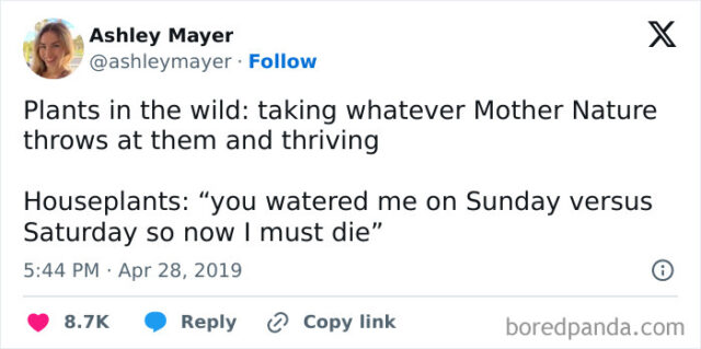 “Science Humour”: 30 Memes Guaranteed To Distribute The Scientifically ...