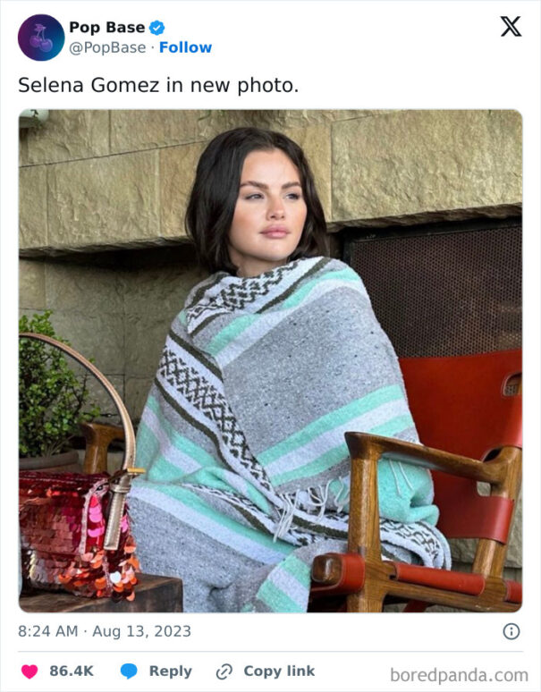 20 Funny Memes Inspired By Selena Gomez’s New Photo | DeMilked