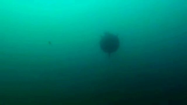 20 Of The Scariest Pics That Can Trigger The Phobia Of Man-Made Things ...