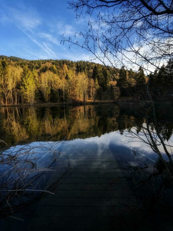 20 Of The Scariest Pics That Can Trigger The Phobia Of Man-Made Things ...