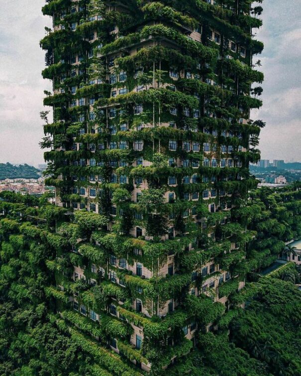 30 Unique Photos That Make You Think “Only In China” | DeMilked