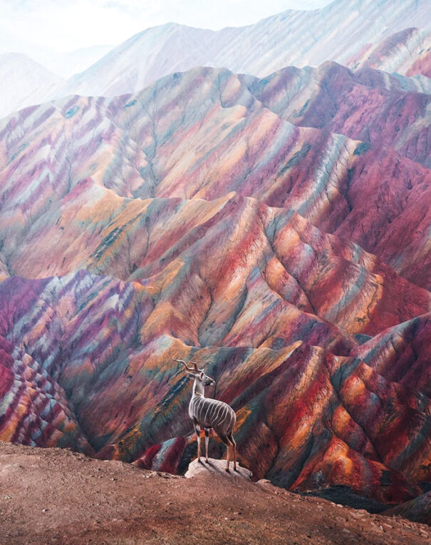 30 Unique Photos That Make You Think “Only In China” | DeMilked