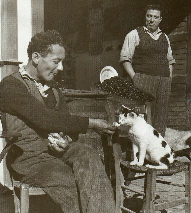 30 Historical Photos From The 'Cats Of Yore’ Twitter Archive | DeMilked