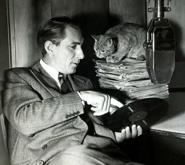 30 Historical Photos From The 'Cats Of Yore’ Twitter Archive | DeMilked