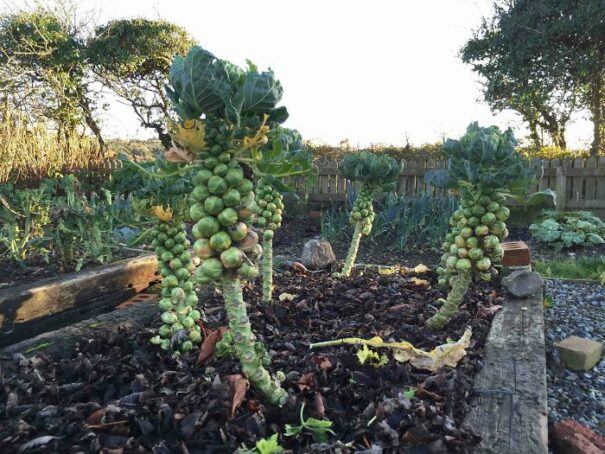 35 Rarely-Seen Pics Of Common Things That Might Change The Way You See ...