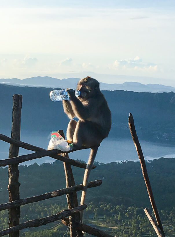 32 Epic Vacation Fails | DeMilked