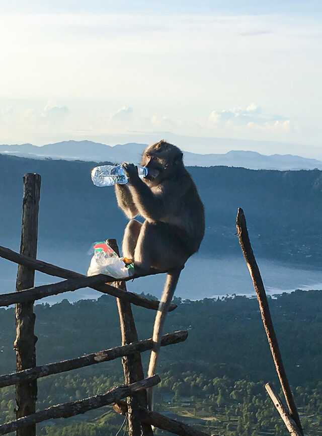 32 Epic Vacation Fails | DeMilked