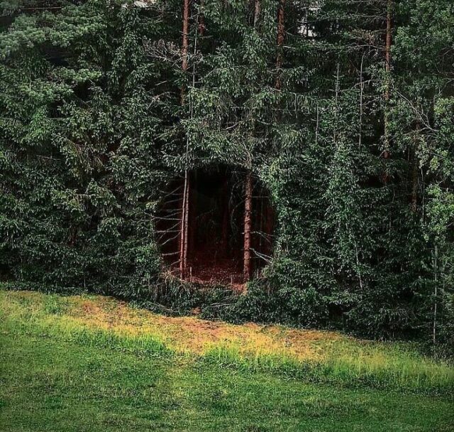 35 Random Bizarre Pics Posted On The 'Cursed Aesthetic' IG Page | DeMilked