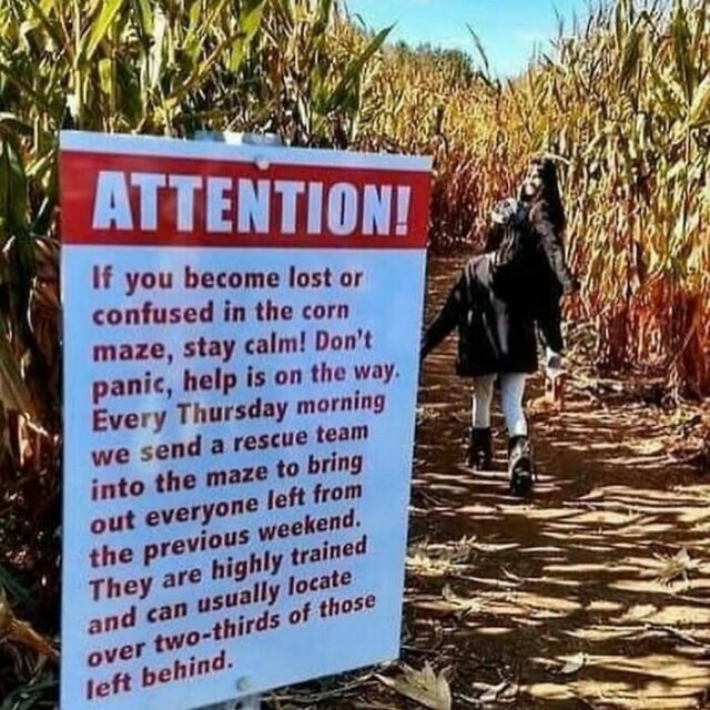35 Random Bizarre Pics Posted On The 'Cursed Aesthetic' IG Page | DeMilked