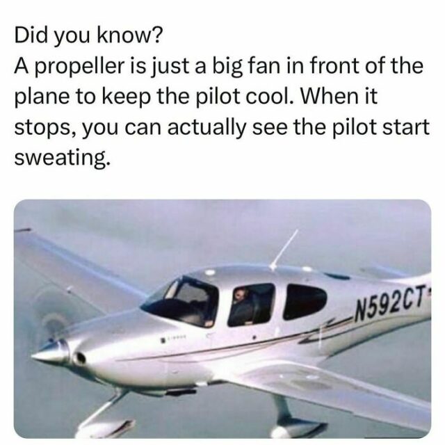 30 Hilarious Memes From 'Pun Bible' That Are So Hilarious | DeMilked