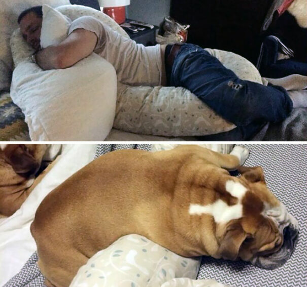 40 Funny Pics Of The Realities Of Dealing With Pregnancy | DeMilked