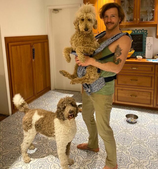 40 Funny Pics Of The Realities Of Dealing With Pregnancy | DeMilked